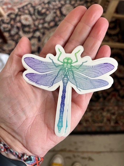 Dragonfly Stickers | Rufus Porter Museum of Art and Ingenuity